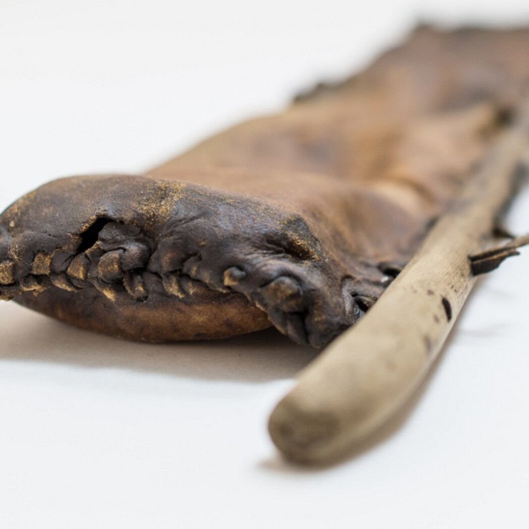 Equipment | South Tyrol Museum of Archaeology