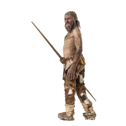 Ötzi | The mummy in the South Tyrol Museum of Archaeology