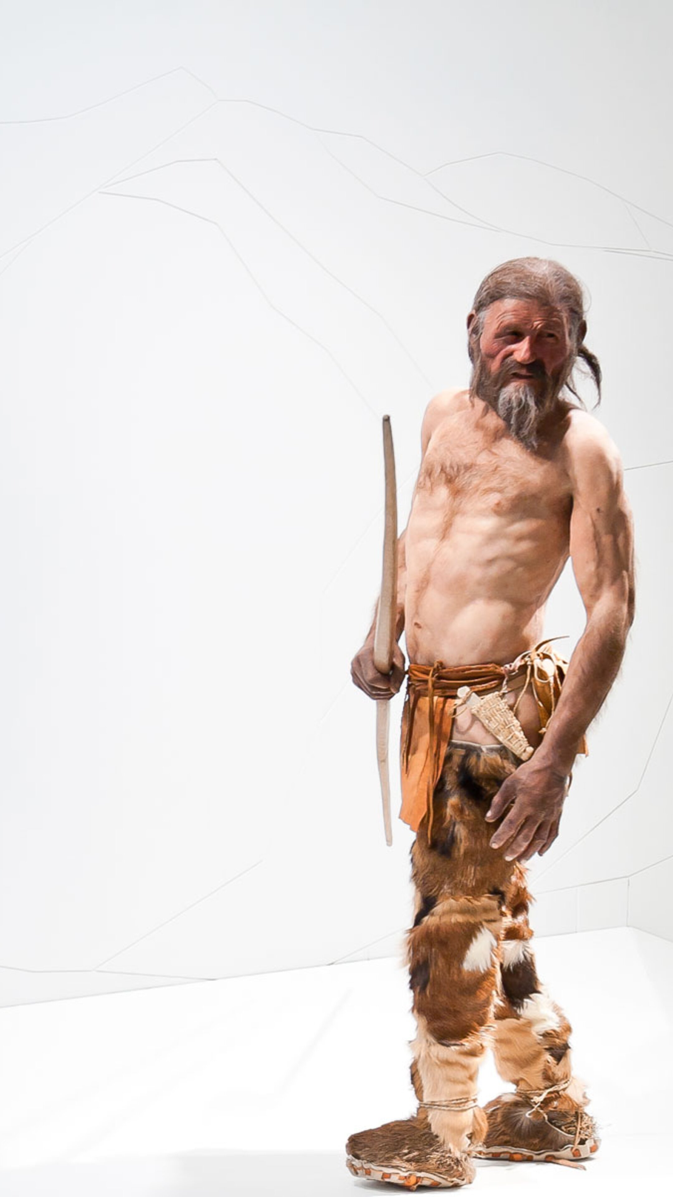 Home | Museo Archeologico dell’Alto Adige