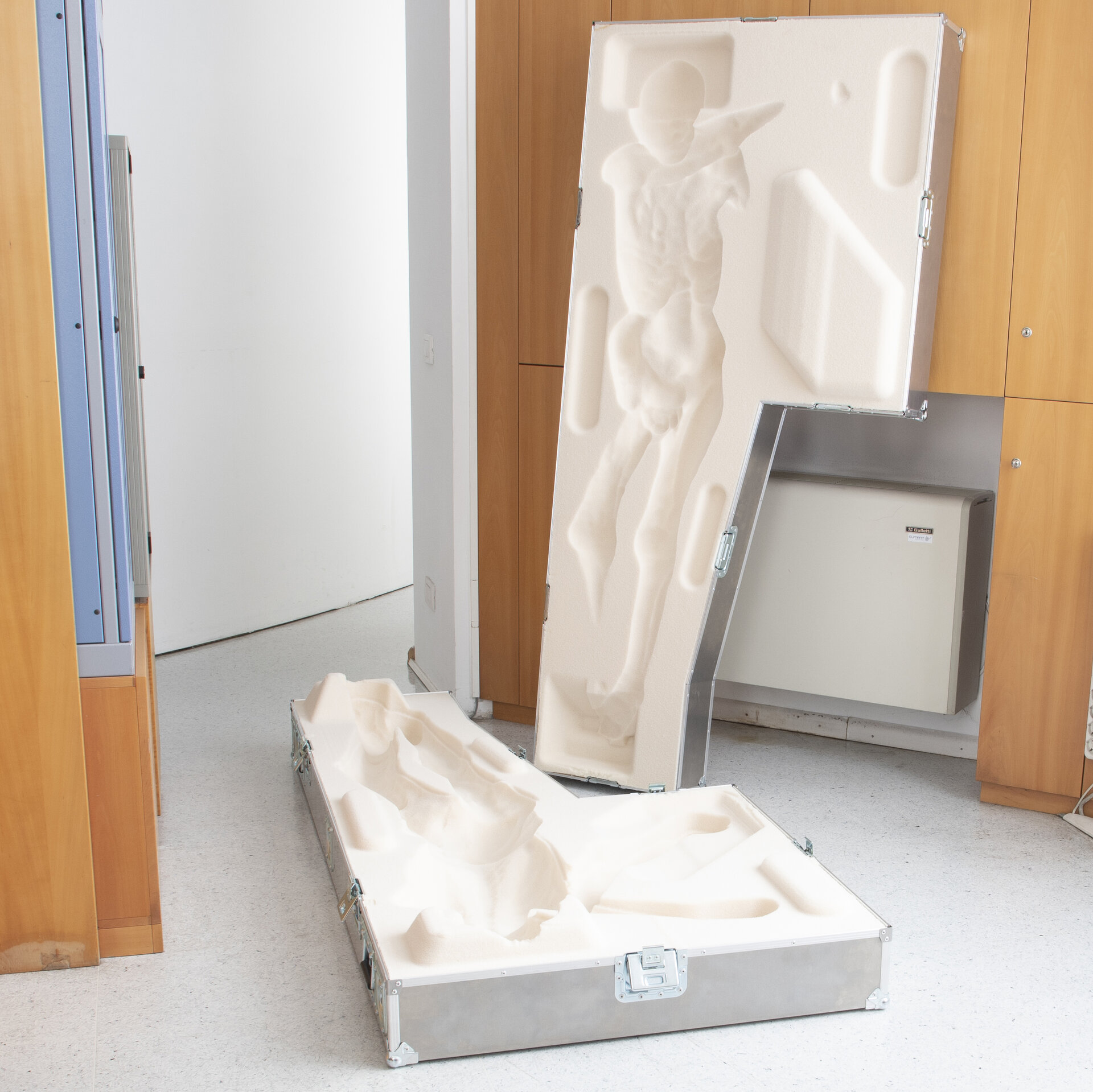 Packing crates for valuable cargo