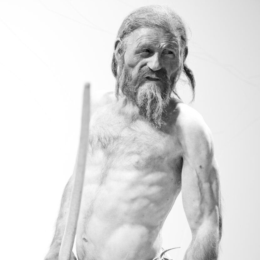COLD CASE ÖTZI has been published