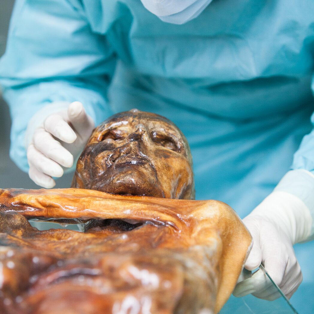 Ötzi | The mummy in the South Tyrol Museum of Archaeology
