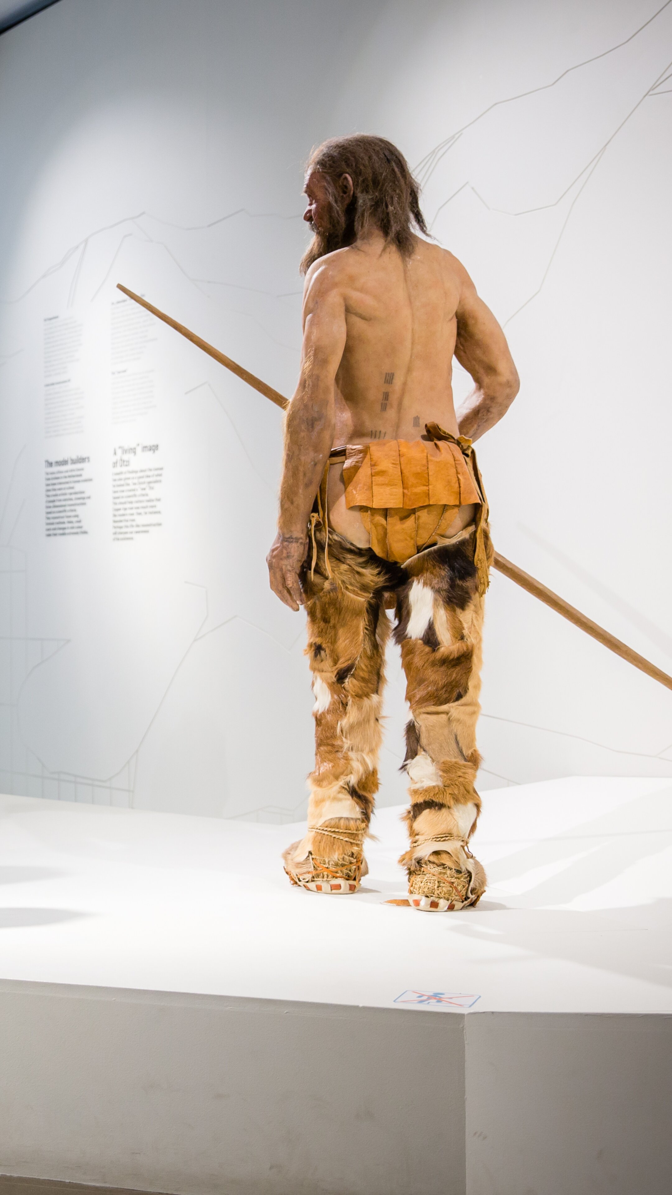 Ötzi the Iceman| South Tyrol Museum of Archaeology