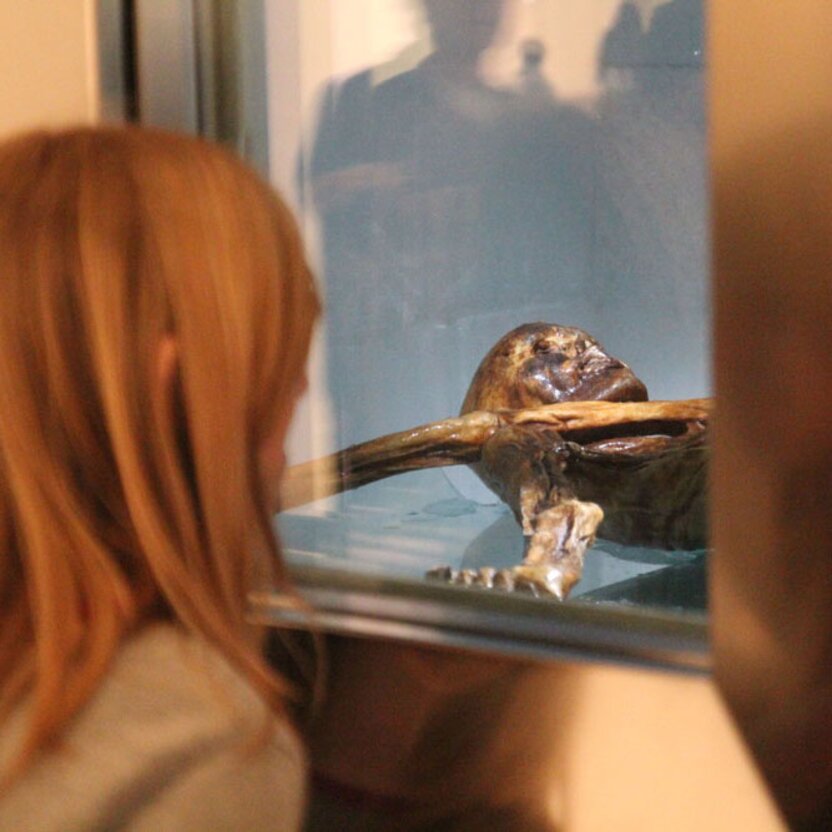 Ötzi’s era – the Copper Age | South Tyrol Museum of Archaeology