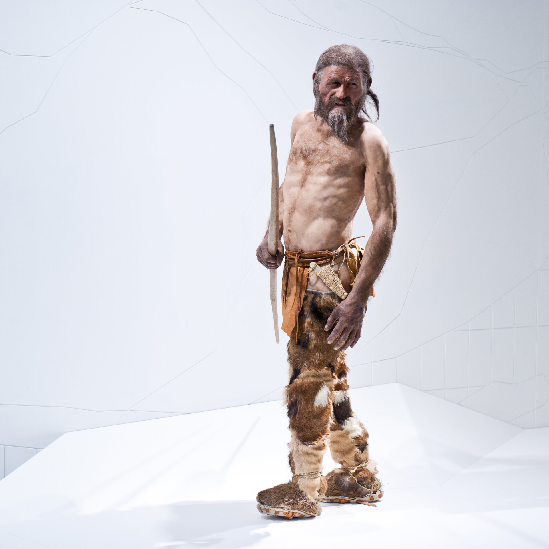 New DNA analysis for Ötzi